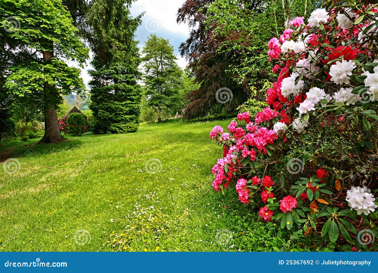 Beautiful Garden in Springtime Stock Photo - Image of natural ...