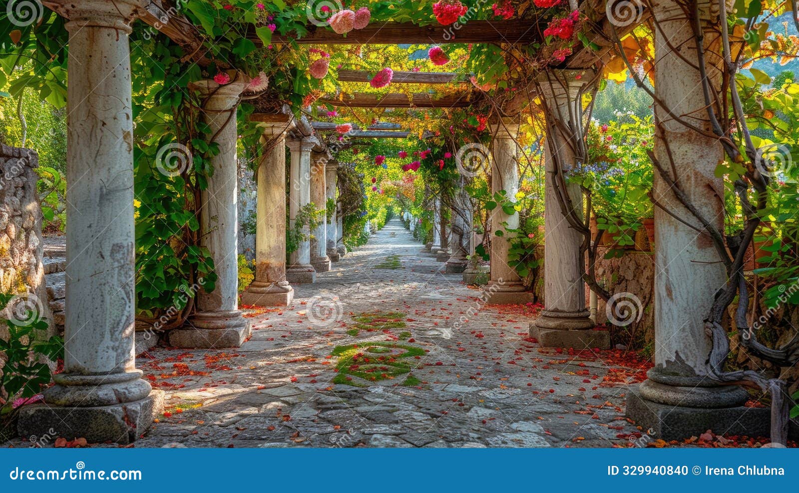 Beautiful Garden with Stone Path and Floral Pergola Stock Illustration ...