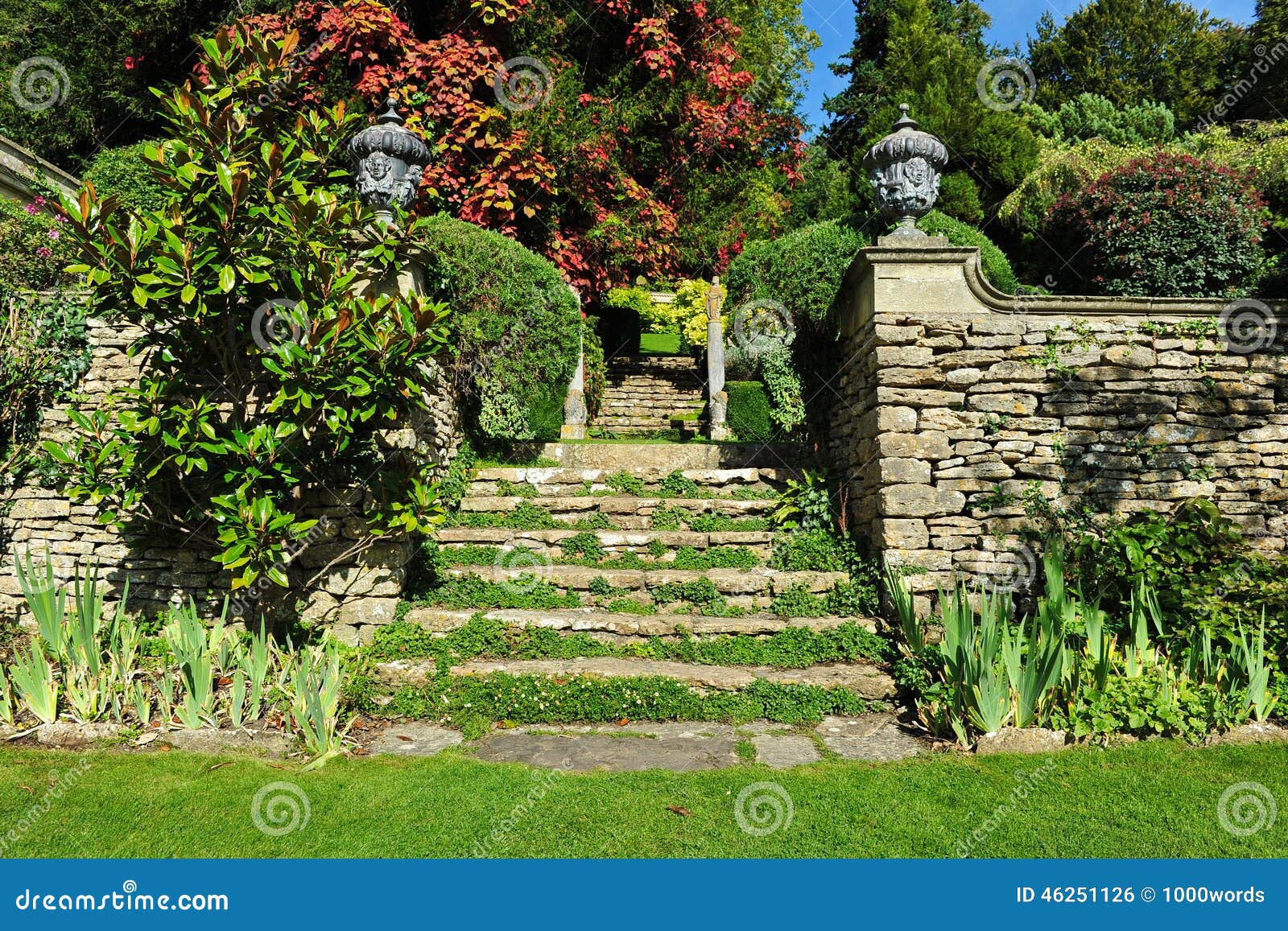 Beautiful Garden stock photo. Image of climb, garden - 46251126