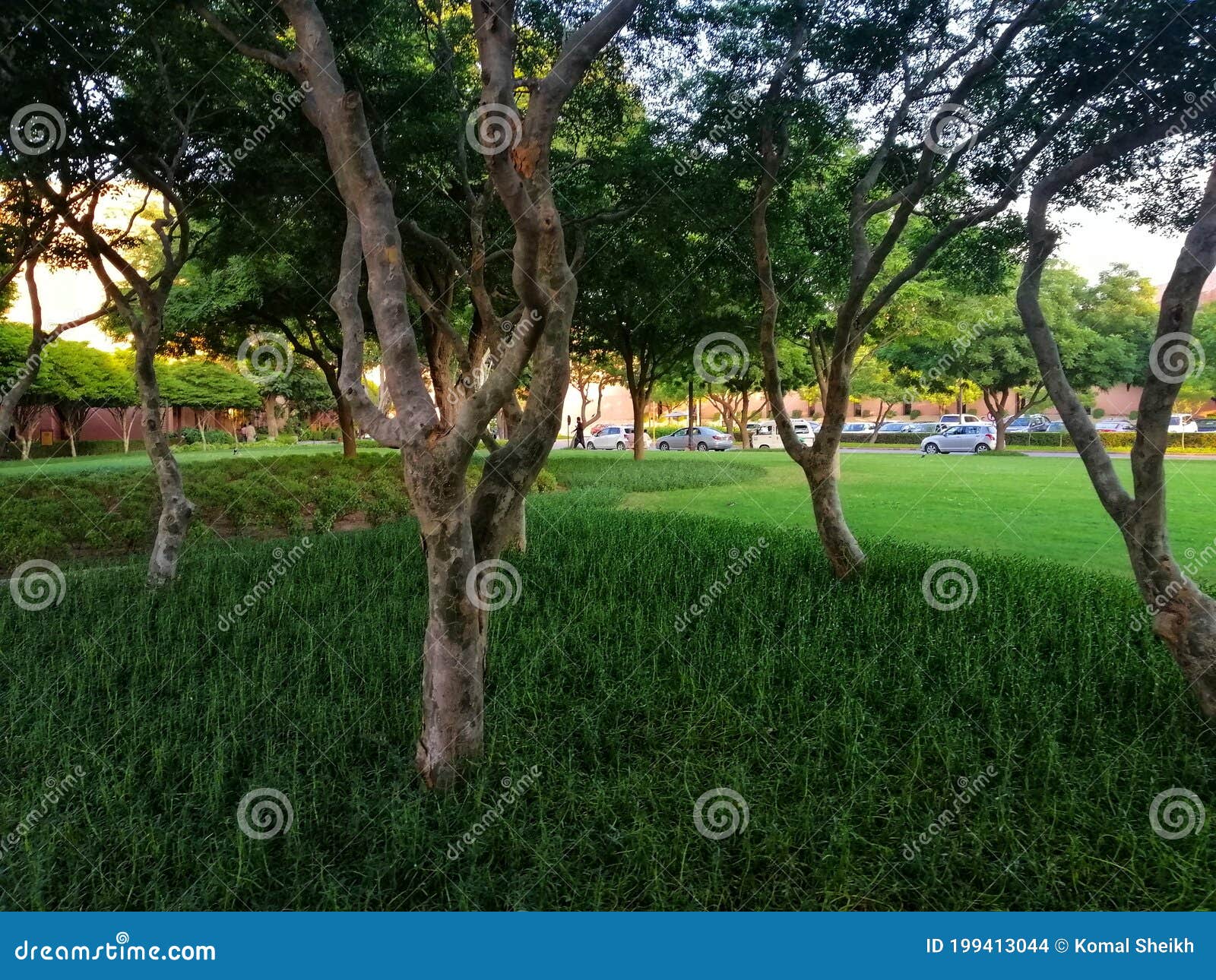 Beautiful Garden with Trees Stock Photo - Image of lawn, woodland ...