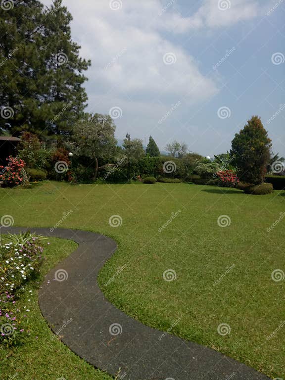 Beautiful Garden Trees Path Nature Stock Photo - Image of trees, path ...