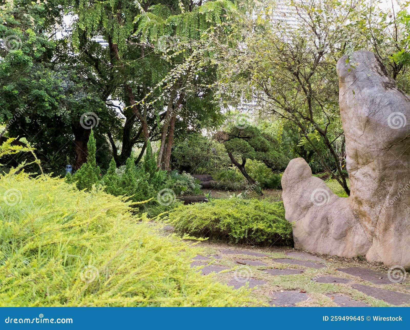 Beautiful Garden View with the Exotic Trees and Greenery Stock Image ...