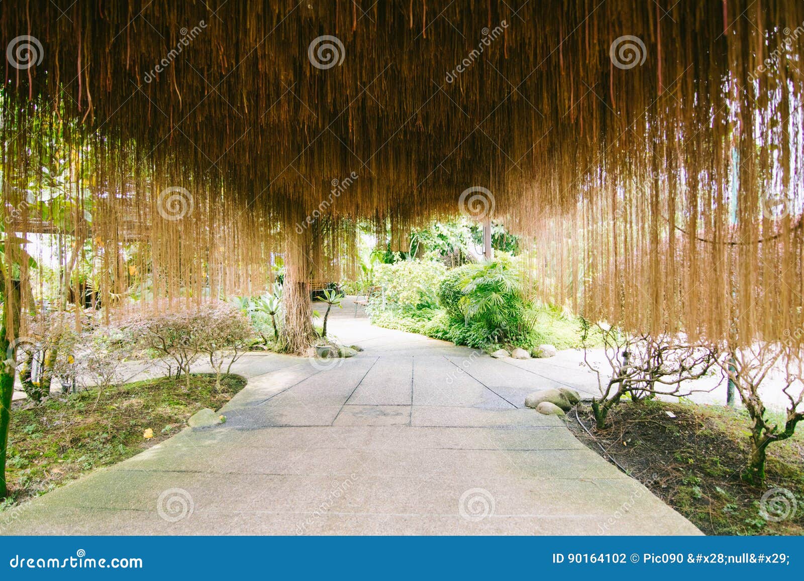 Beautiful Garden Walk Pathway Stock Photo - Image of grass, nature ...