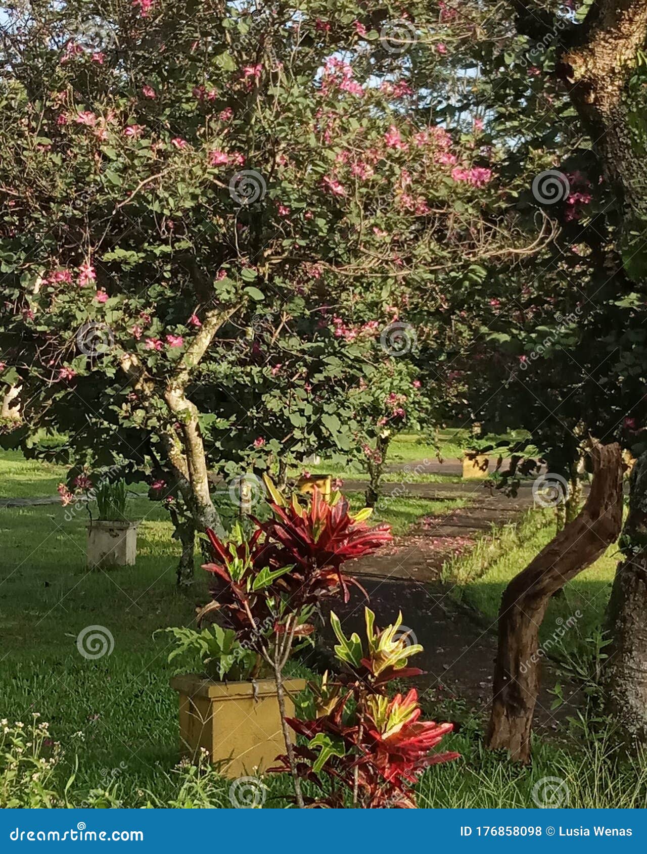 A Beautiful Garden in West Java Indonesia Stock Photo - Image of java ...