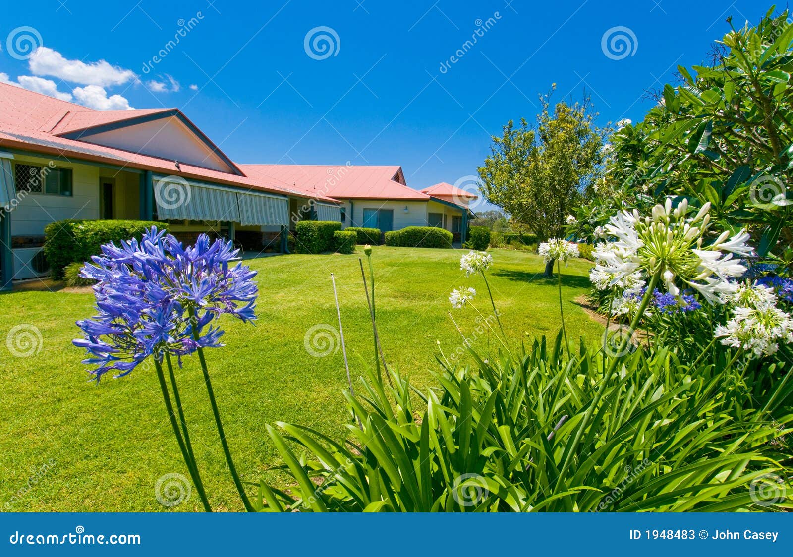 Beautiful Gardens at Back of House Stock Image - Image of design ...