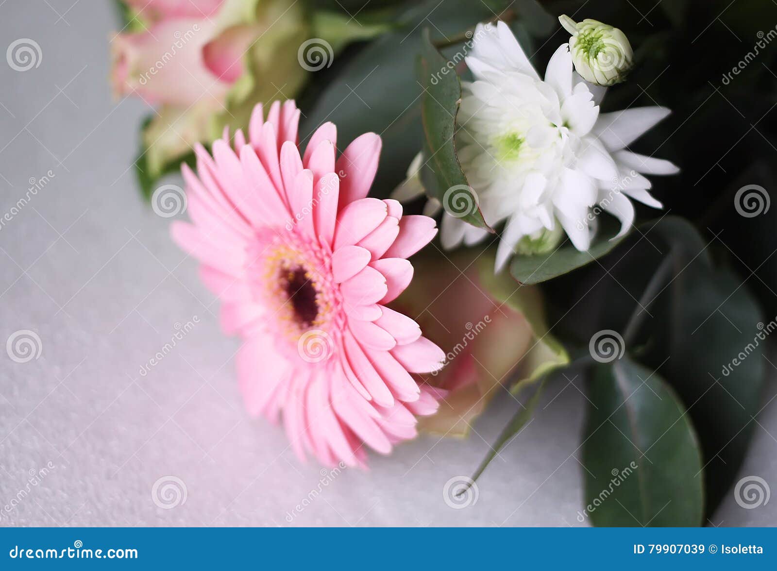Beautiful Gerbera Flower Decoration Stock Image - Image of gerbera ...