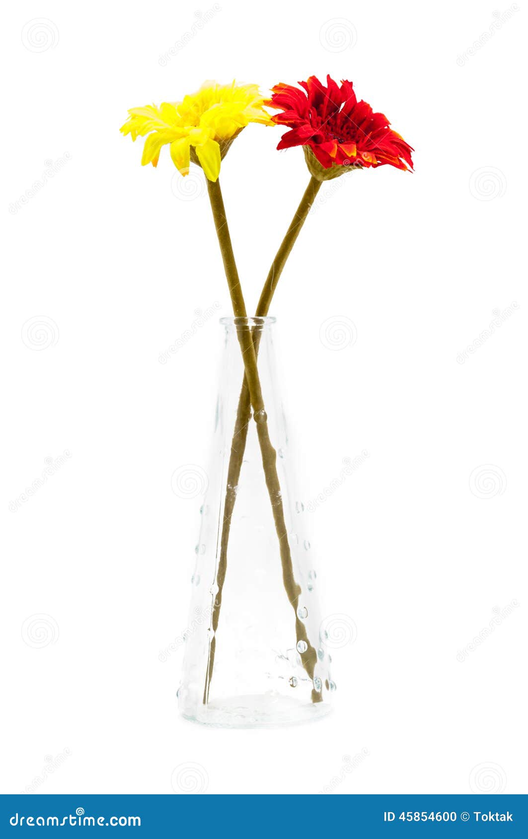 Beautiful Gerbera in Vase Isolated Stock Photo - Image of petal, floral ...