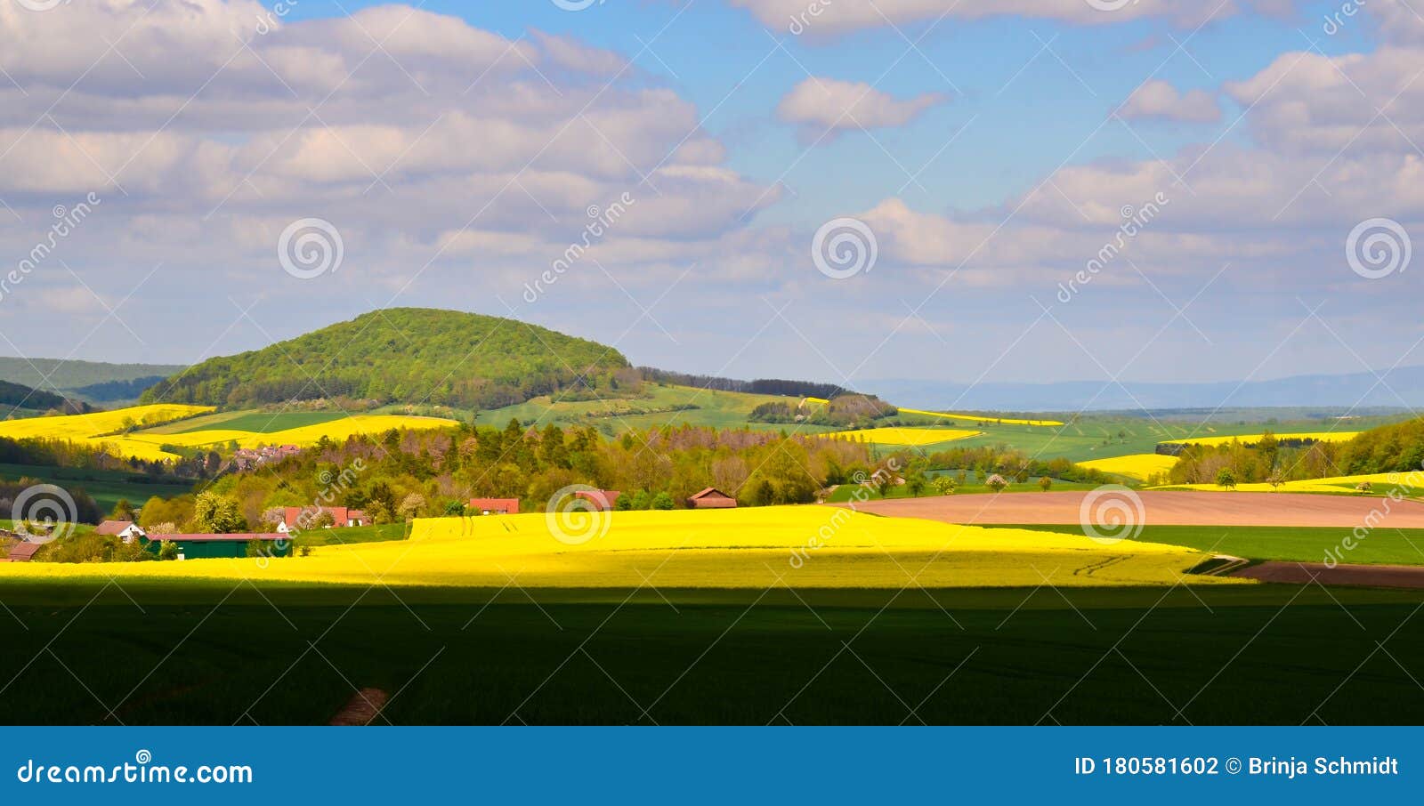 A Beautiful German Agriculture Landscape with Light and Yellow Fields ...