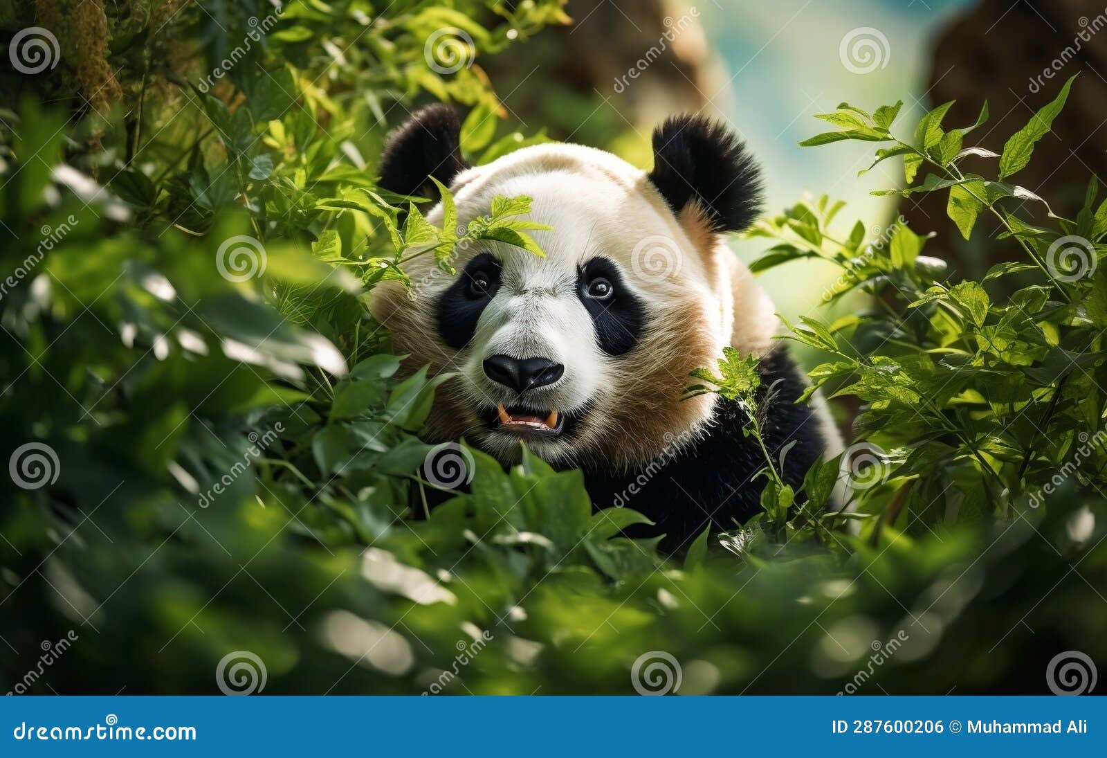 Beautiful Giant Panda in Forest Closeup. AI Stock Photo - Image of ...