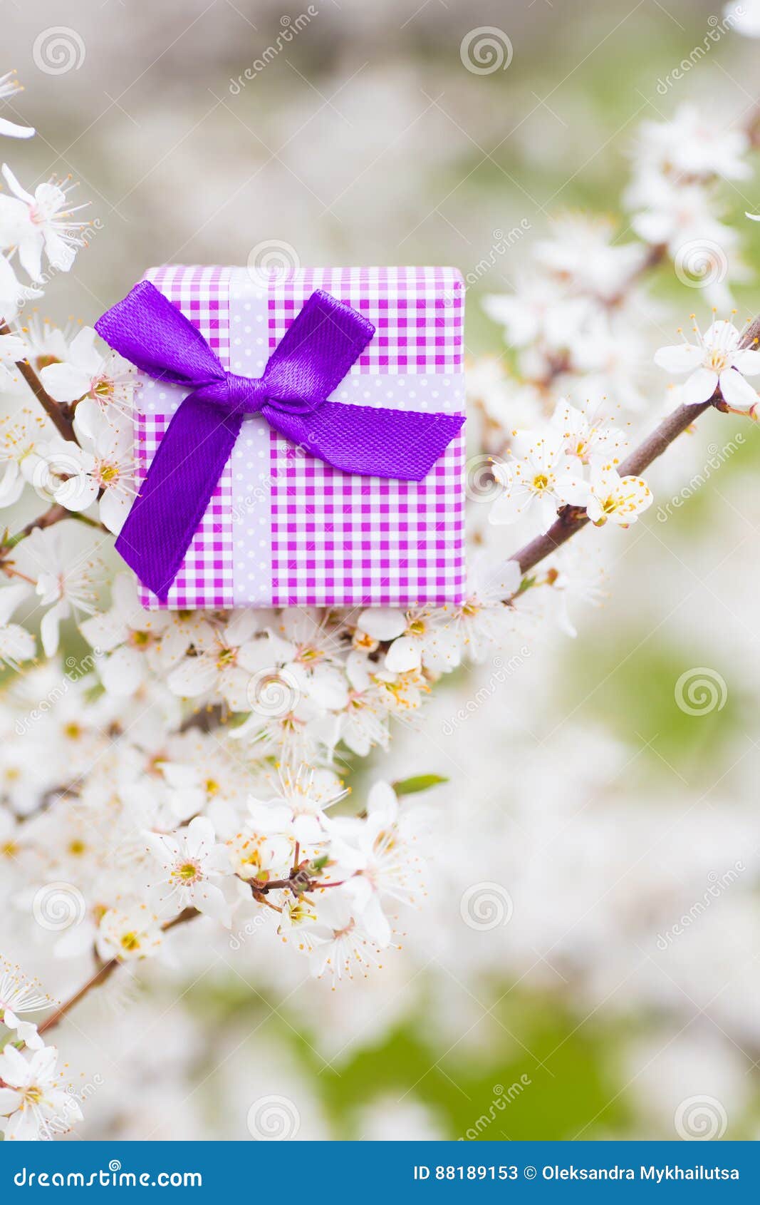 Beautiful Gift Box Surrounded by Flowering Branches of Spring Tr Stock ...