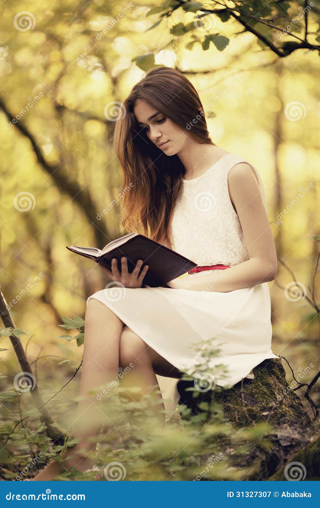 Beautiful Girl with Book in the Forest Stock Image - Image of golden ...