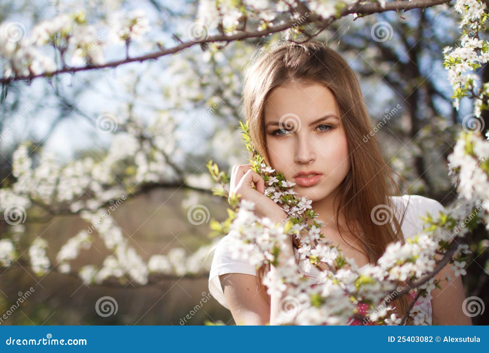 Beautiful Girl in the Branches Stock Photo - Image of outdoor, fabulous ...