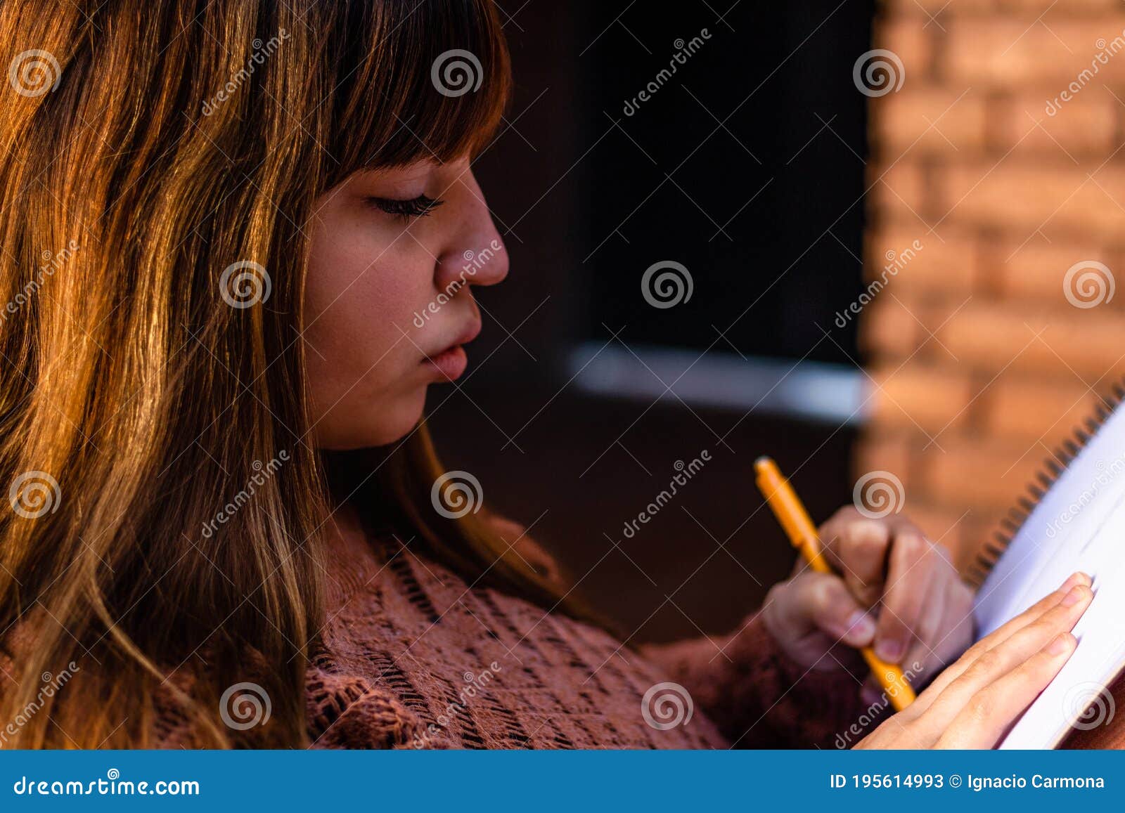 Beautiful Girl Drawing in Peace Multiple Sketches Stock Image - Image ...