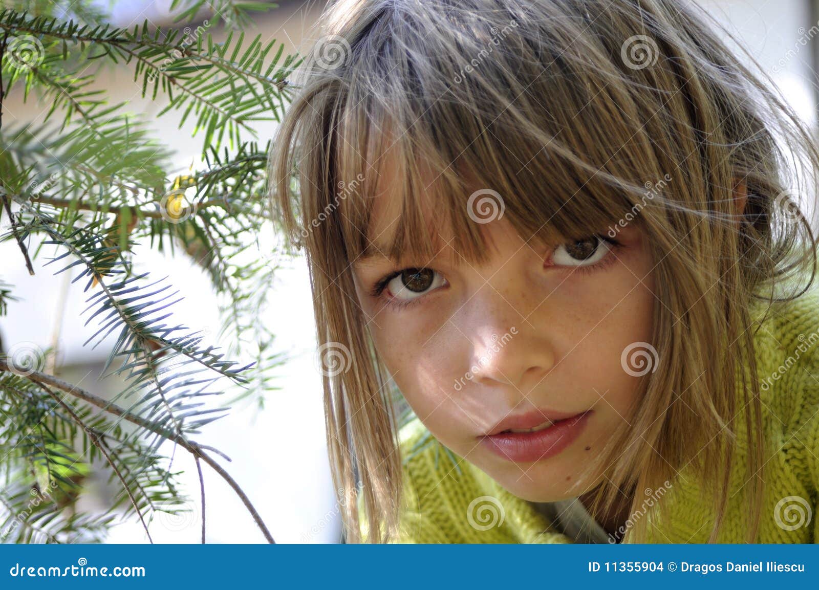 Beautiful girl dreaming stock photo. Image of fashionable - 11355904