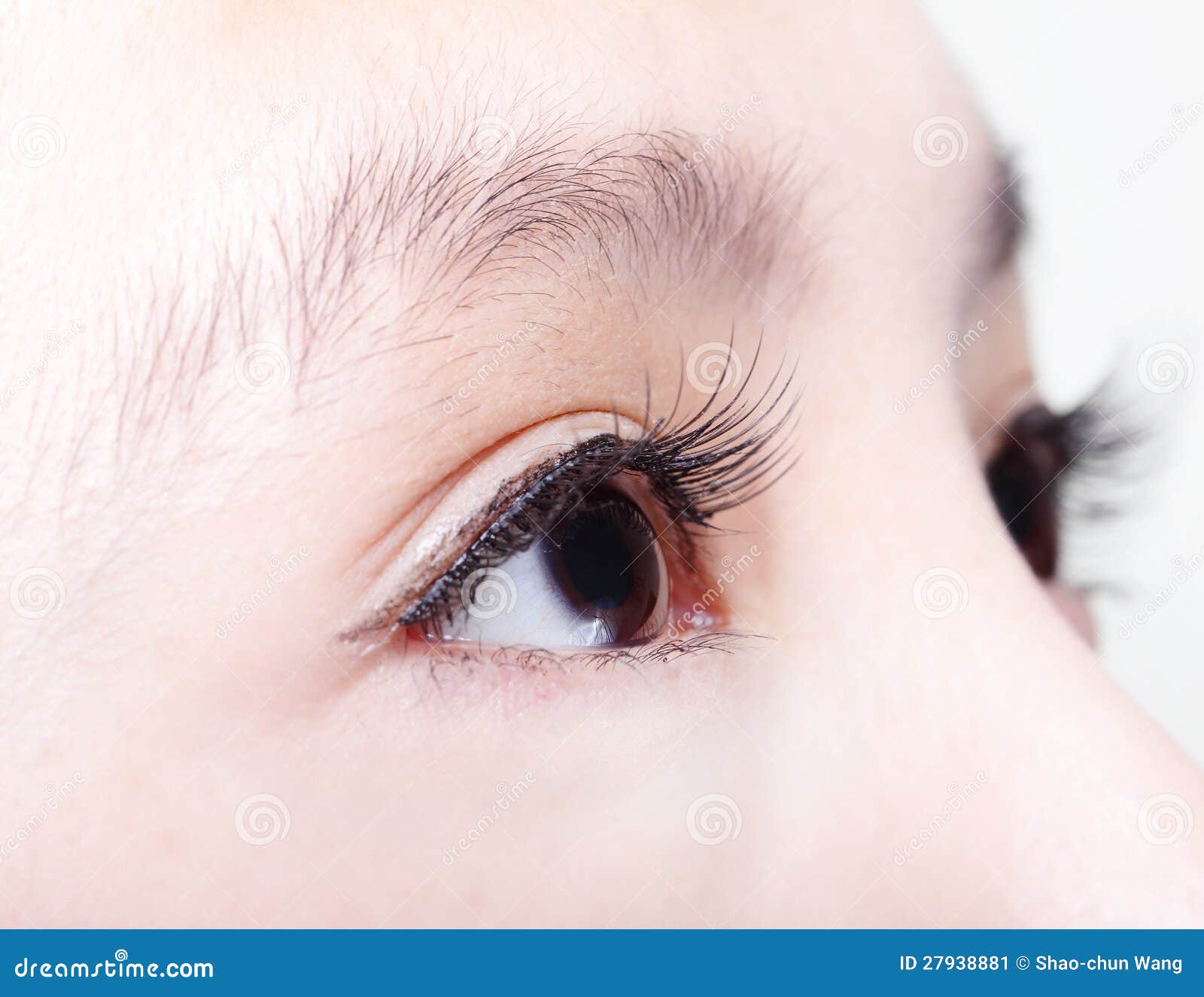 Beautiful girl eye stock image. Image of girl, eyelid - 27938881