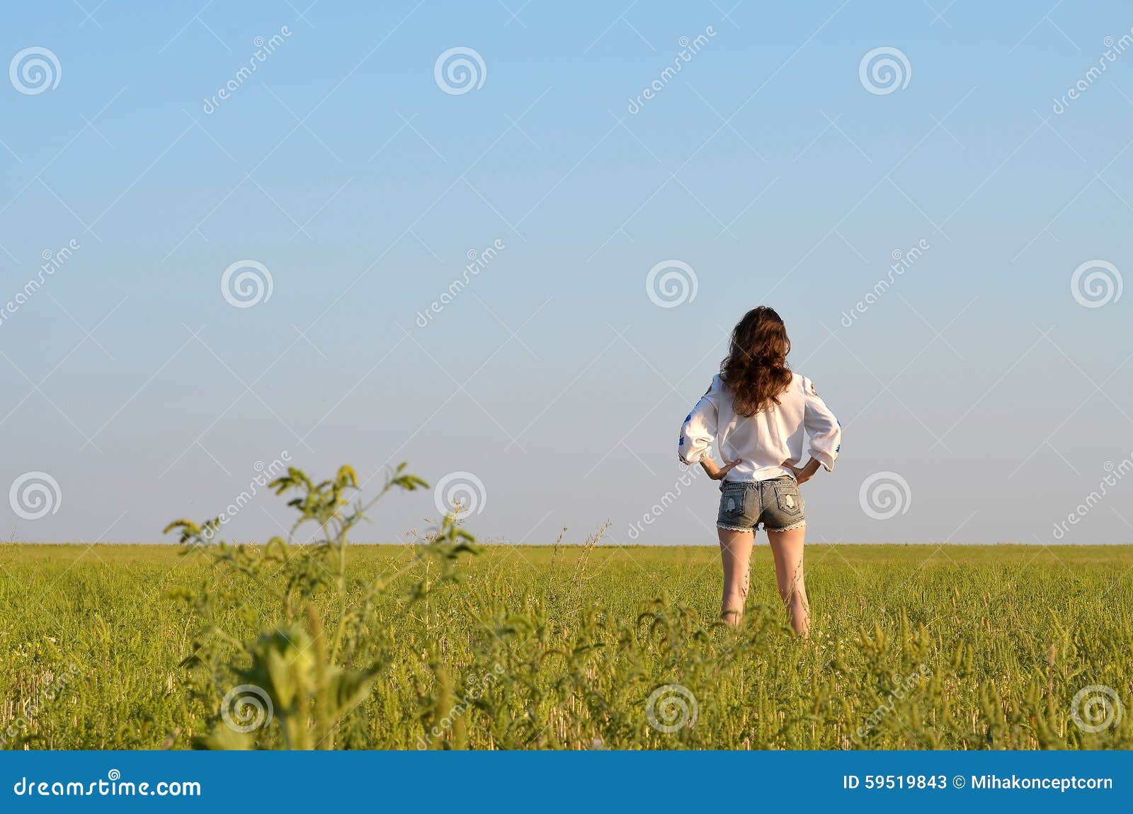 Beautiful girl in a field stock image. Image of summer - 59519843