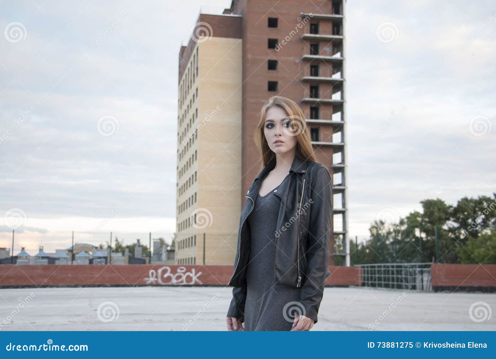 Beautiful Girl In Grey Dress Stock Image Image Of Hope Urban 73881275