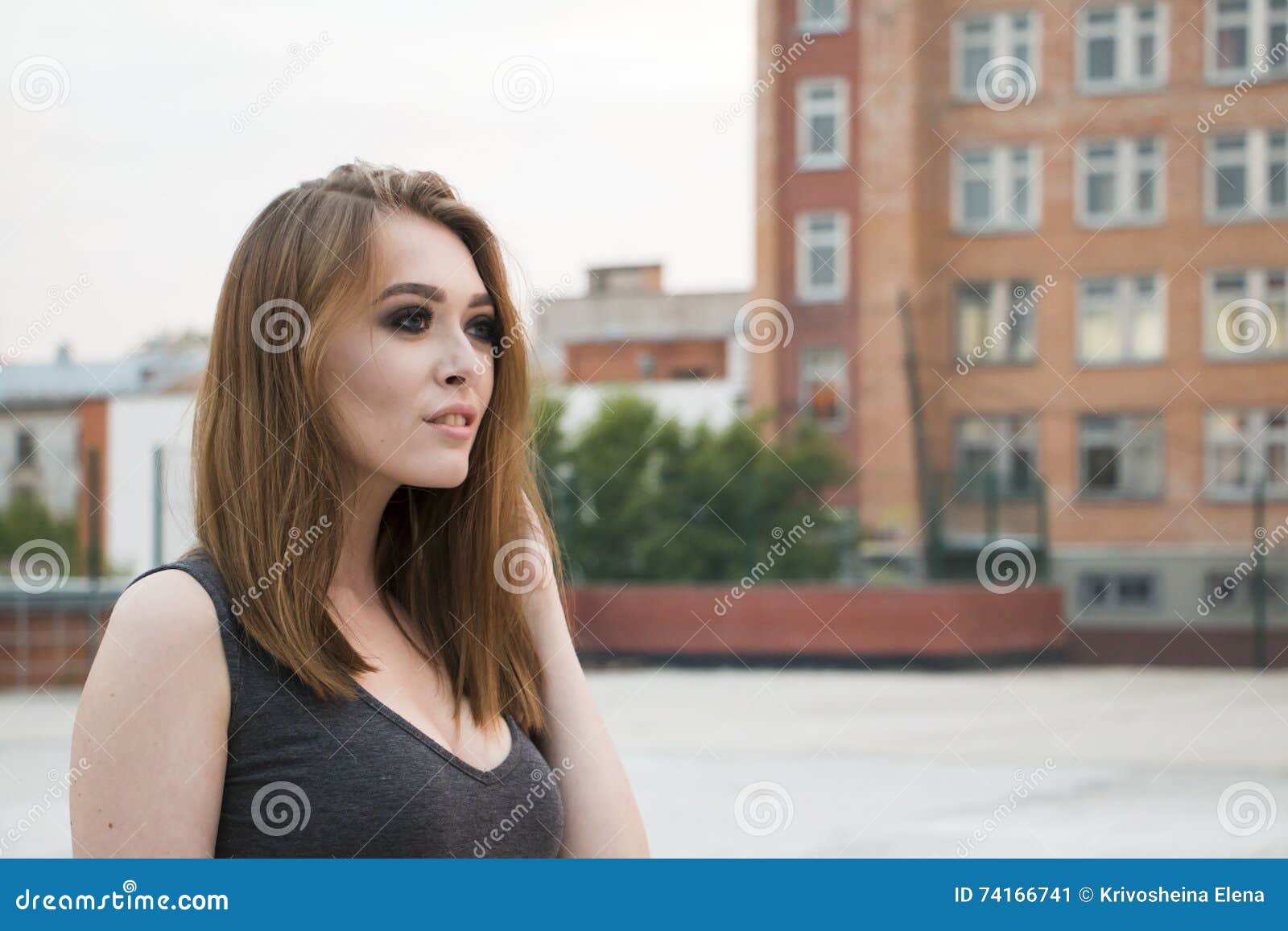 Beautiful Girl In Grey Dress Stock Image Image Of Model Night 74166741