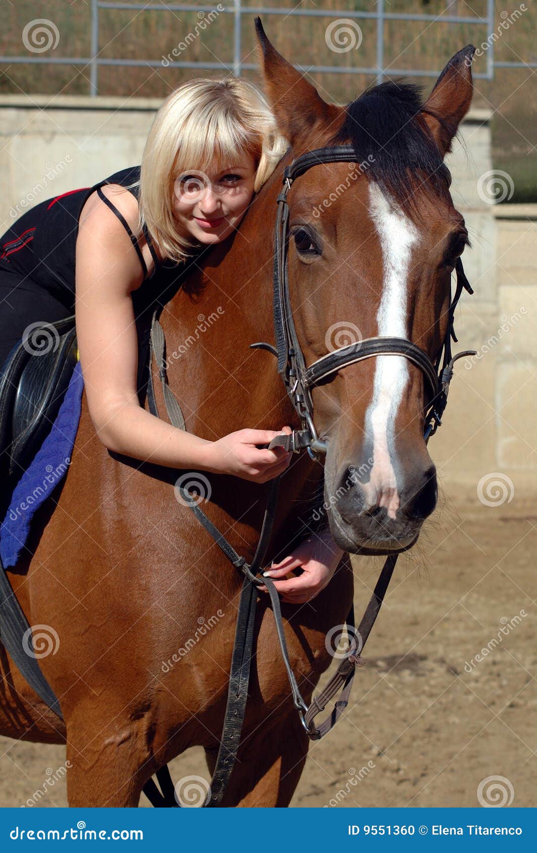 Beautiful girl and horse stock photo. Image of equitation - 9551360