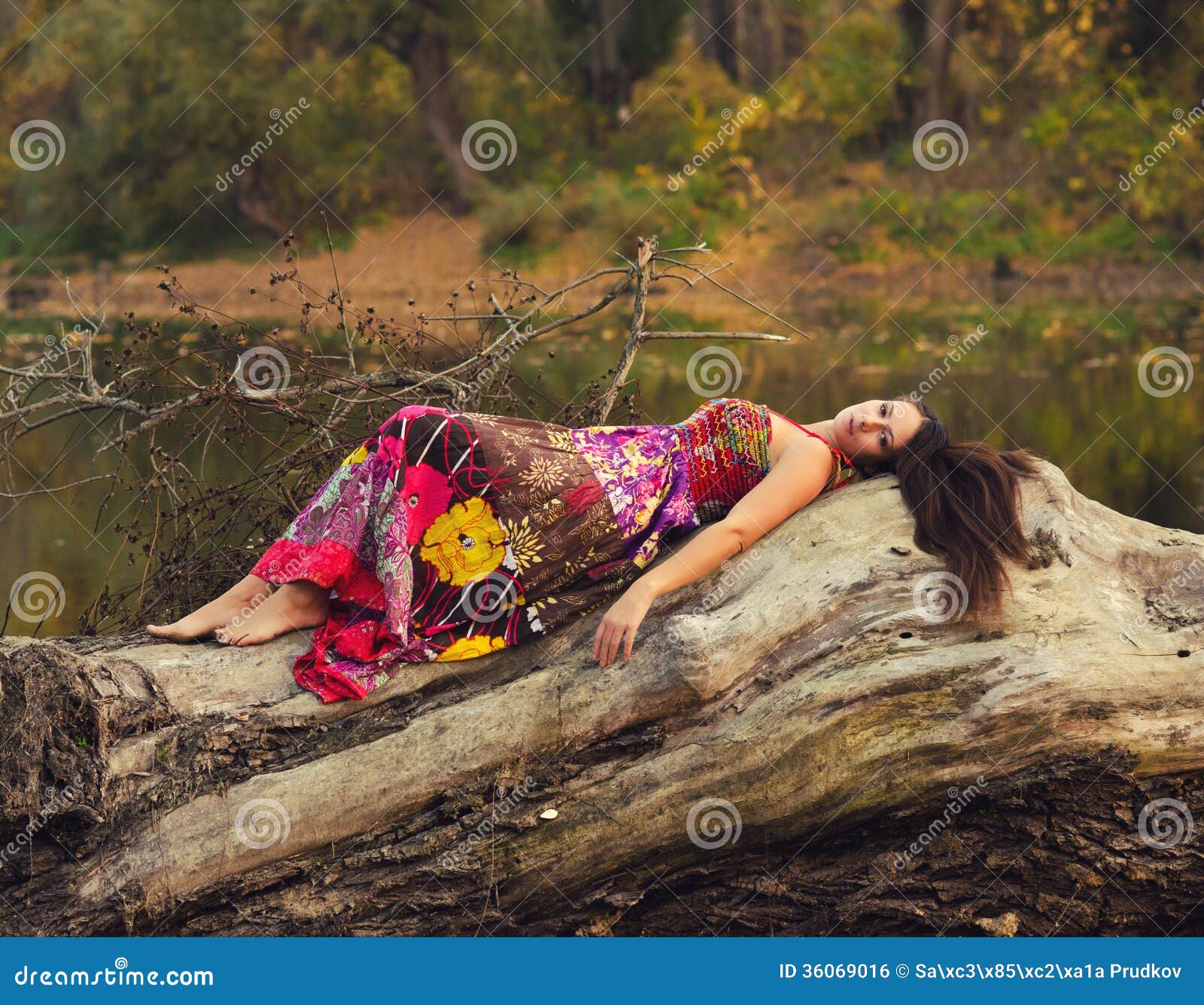 Beautiful Girl Lying on the Tree Trunk Stock Photo - Image of female ...