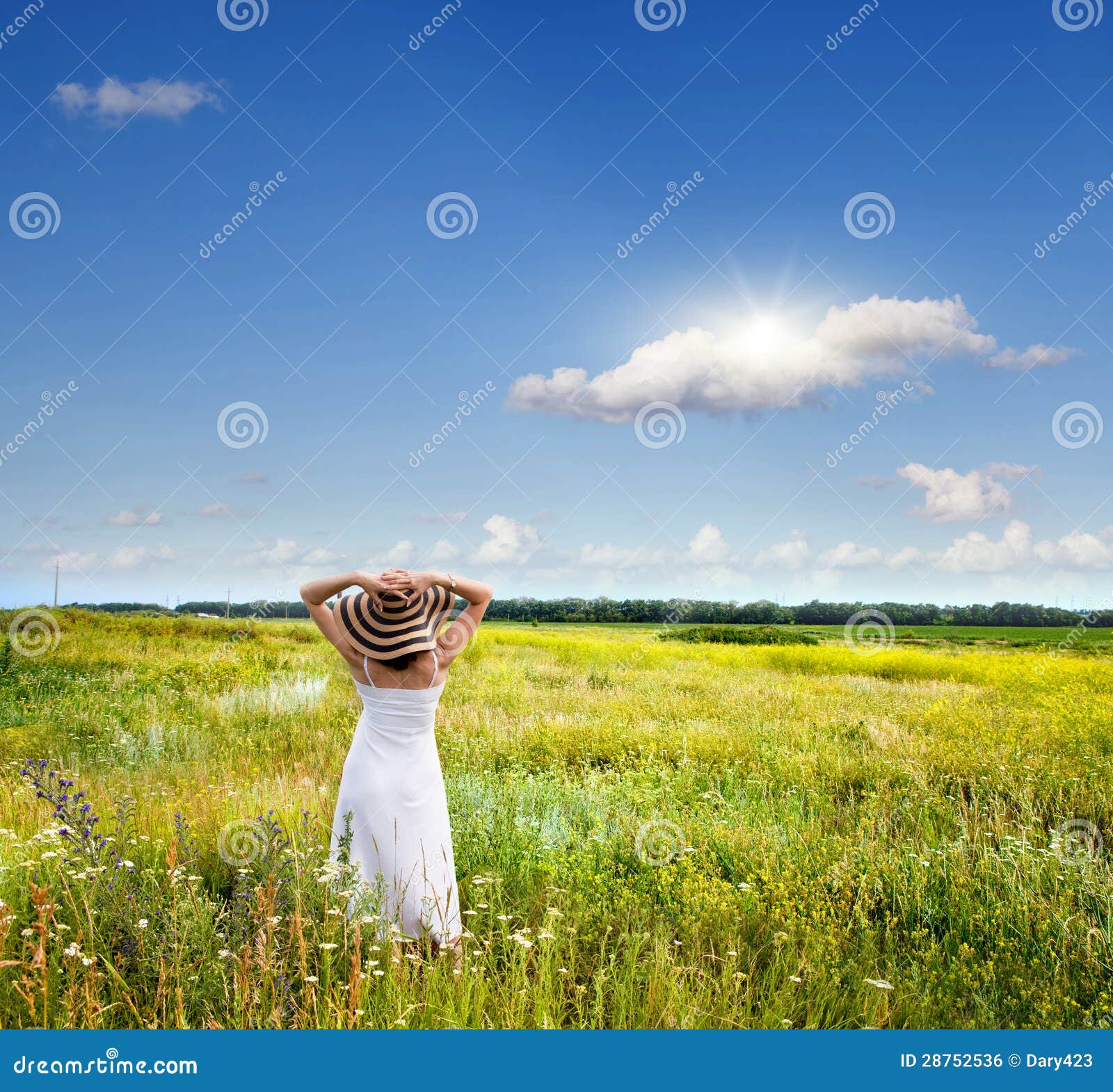Beautiful girl on a meadow stock photo. Image of scene - 28752536