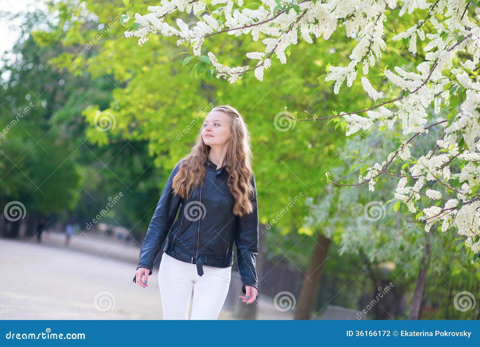 Beautiful Girl in a Park on a Spring Day Stock Photo - Image of spring ...
