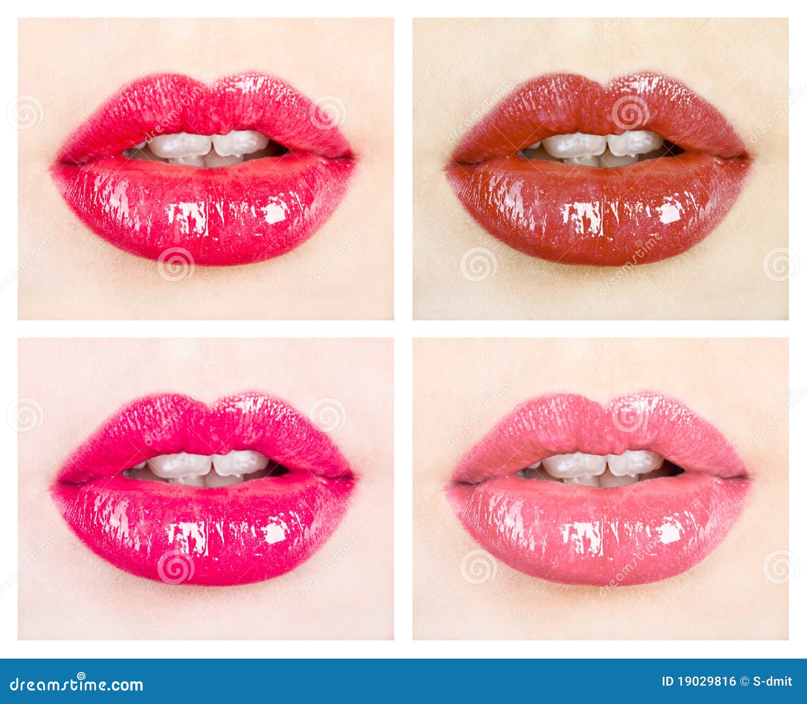 A beautiful girl s lips stock photo. Image of teeth, feminine - 19029816