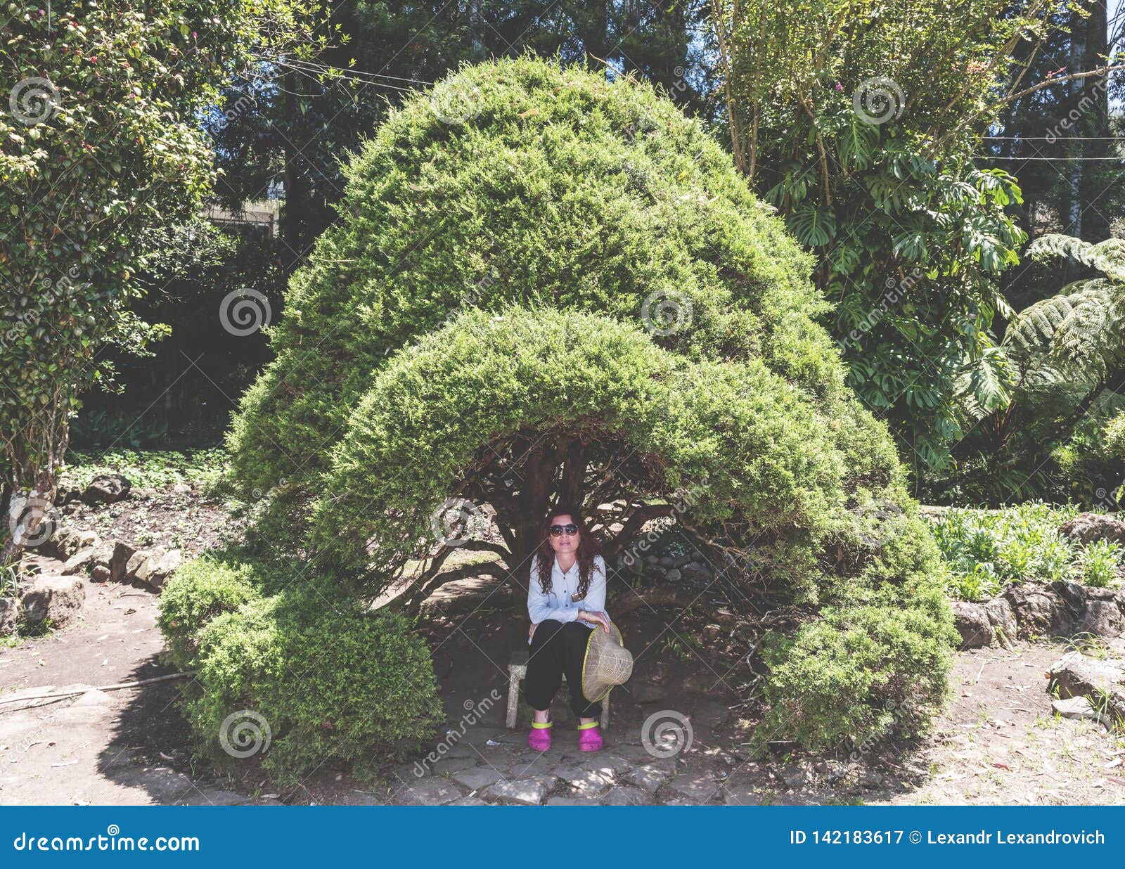 Beautiful Girl Sitting in the Shade of the Tree Stock Image - Image of ...