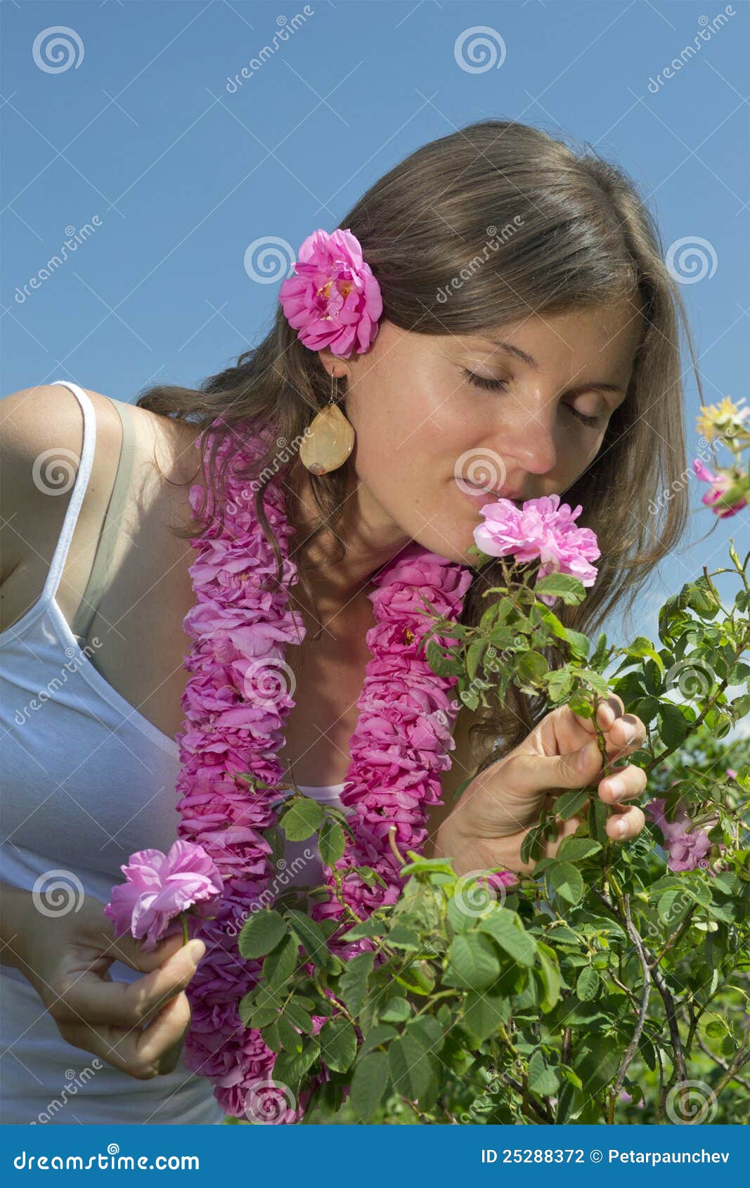 Beautiful Girl Smelling a Rose Stock Photo - Image of brunette, floral ...