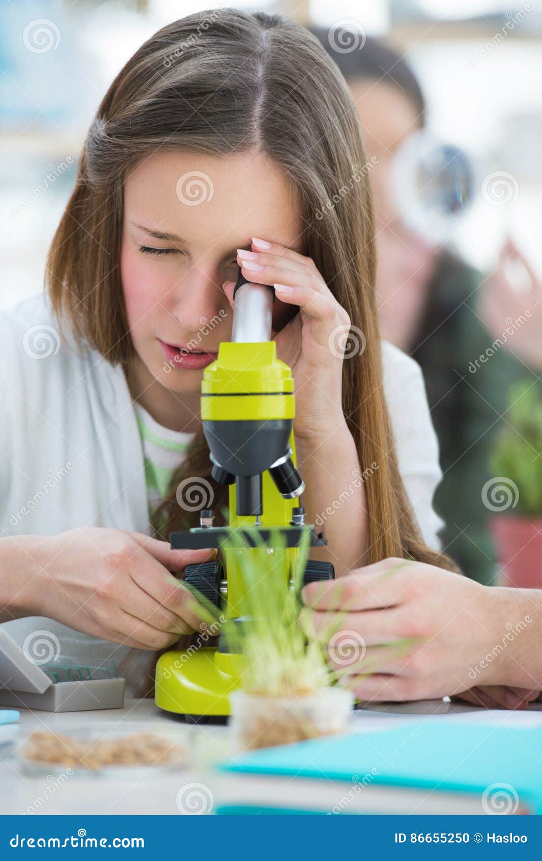 Beautiful Girl Student Working at Biology Classroom Stock Photo - Image ...