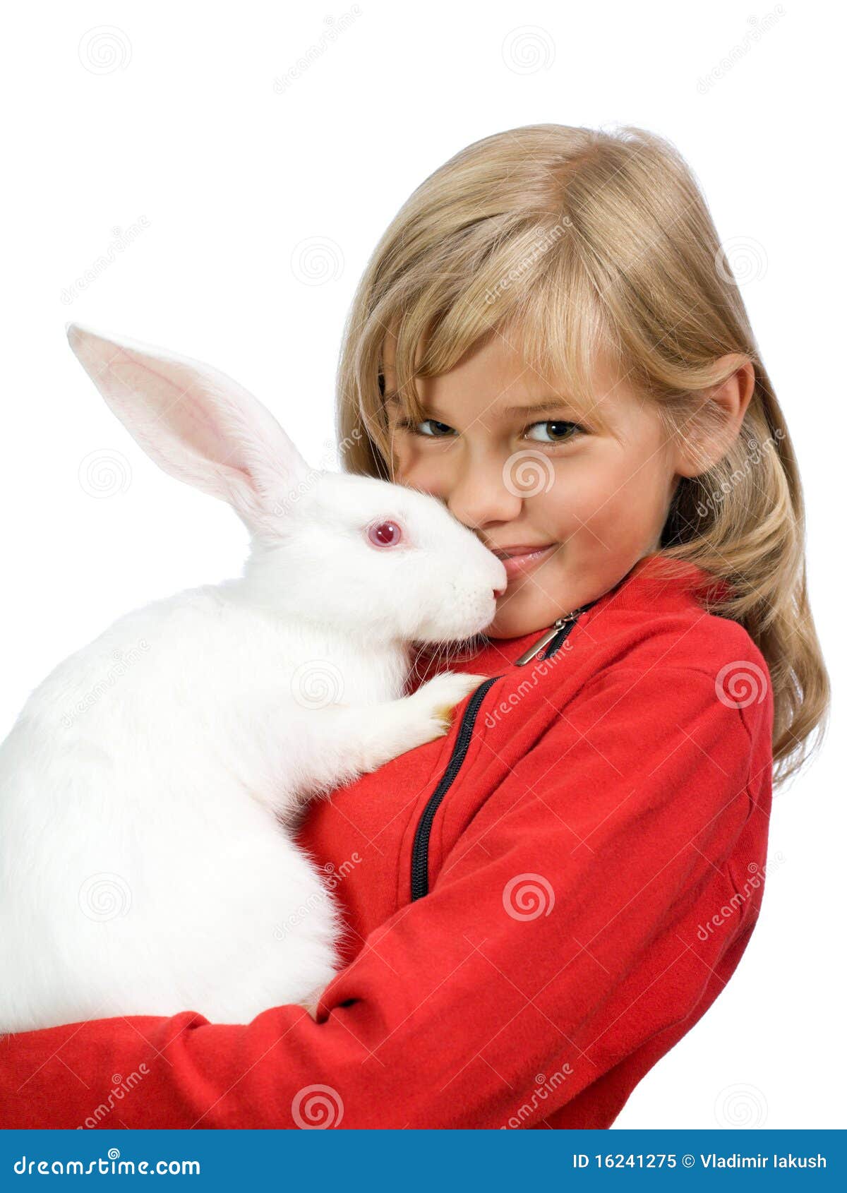 14,037 Beautiful Girl White Rabbit Stock Photos - Free & Royalty-Free ...