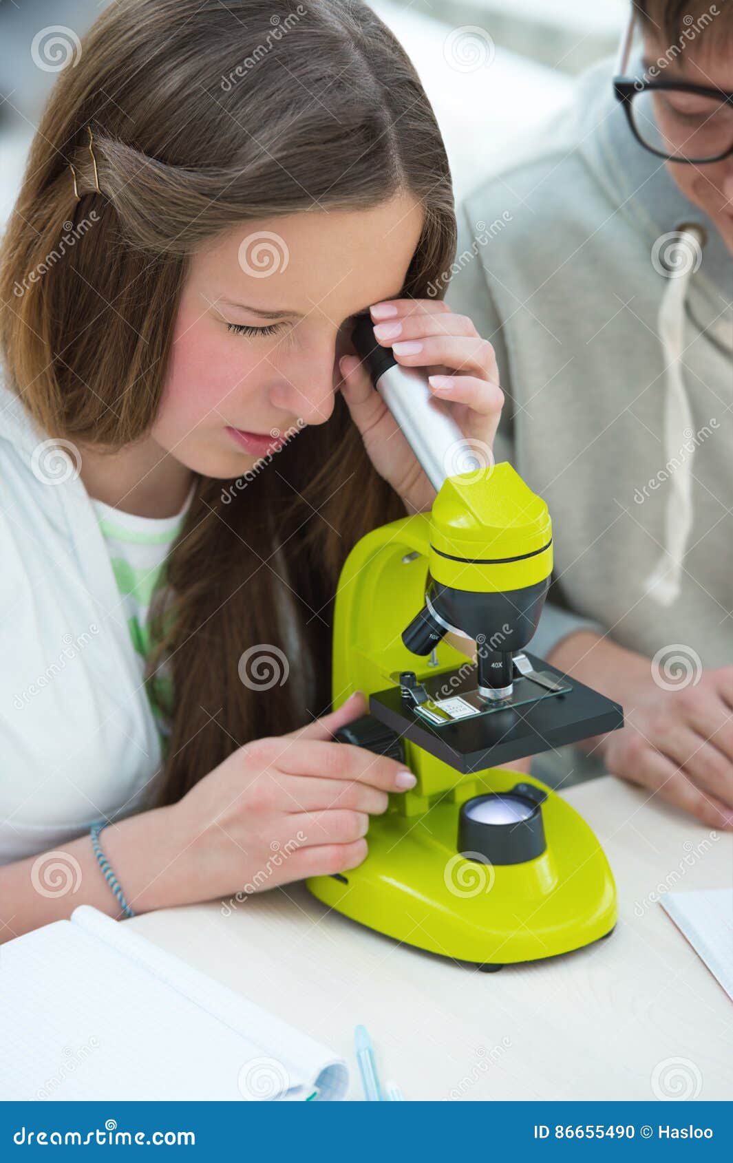 Girl Biology Class Testing Tubes. Science Lesson. School Laboratory ...