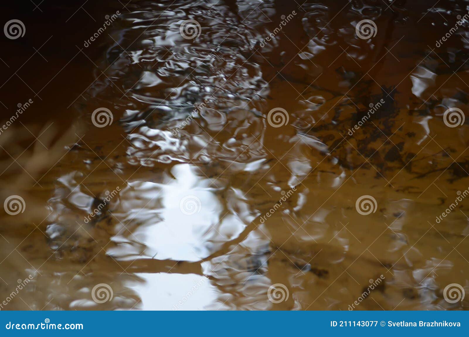 Beautiful Glare on the Water Stock Image - Image of blur, pool: 211143077