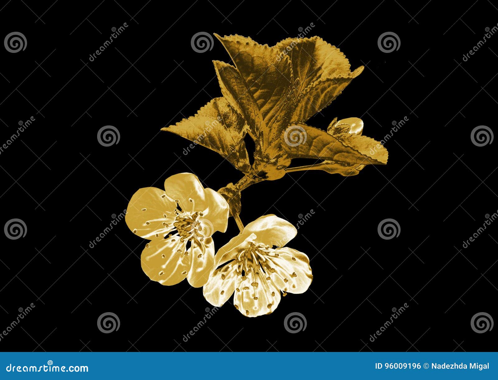 Beautiful Golden flower stock photo. Image of flower - 96009196