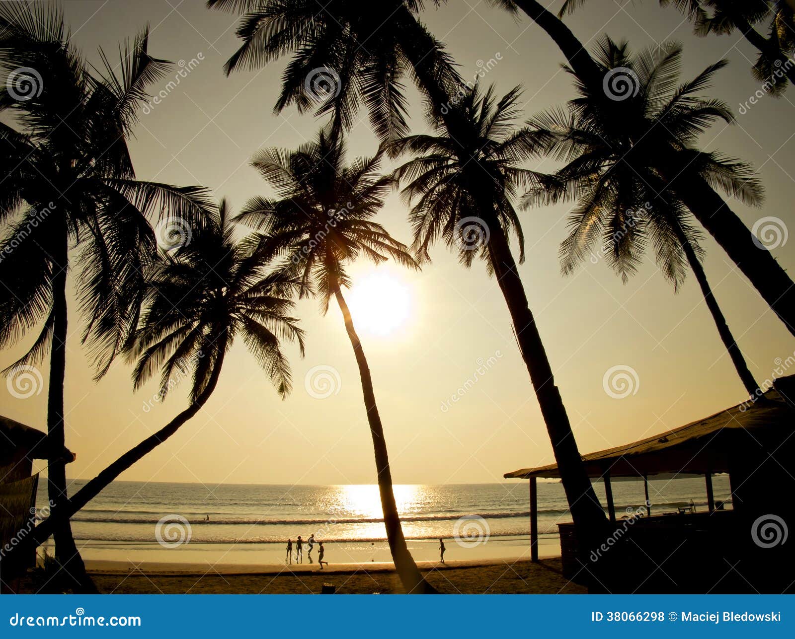 Beautiful Golden Sunset on the Beach, GOA, India Stock Photo - Image of ...
