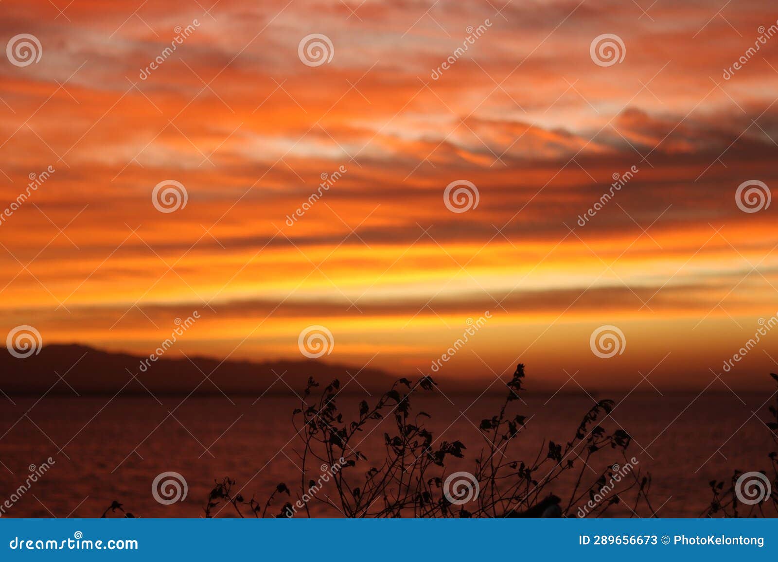 Beautiful Golden Sunset on the Lake Stock Image - Image of golden ...