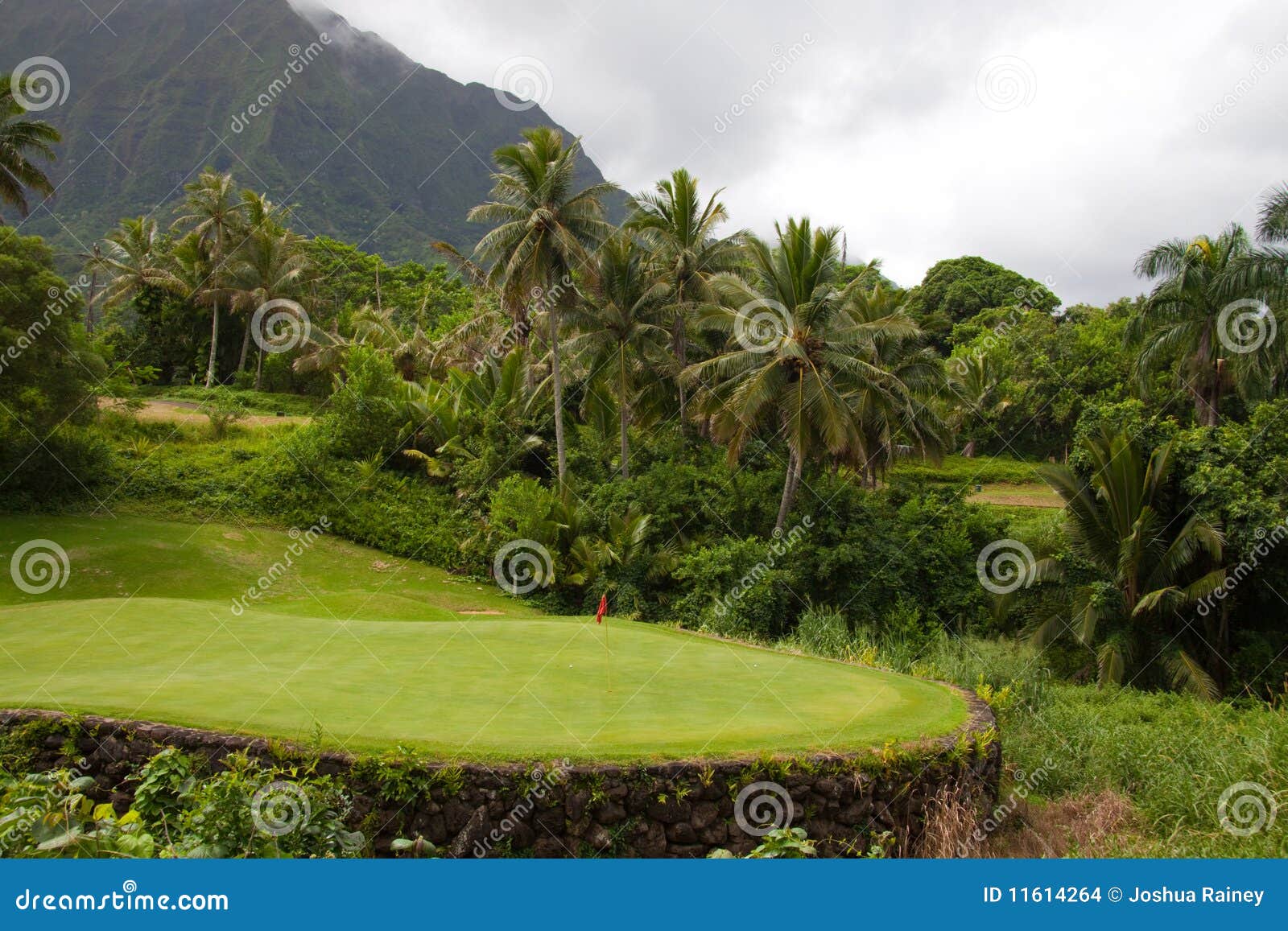 Beautiful Golf Course stock photo. Image of green, pretty - 11614264