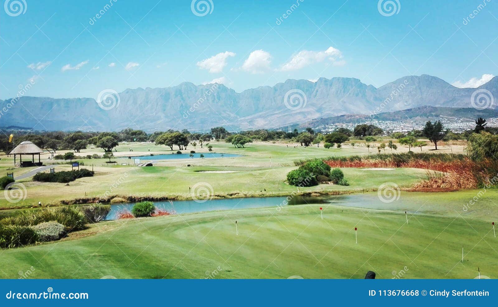 Golf course stock photo. Image of town, cape, golf, beautiful - 113676668