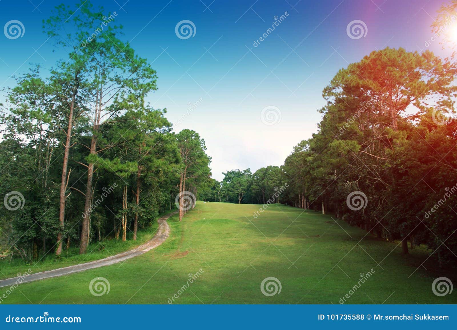 The Evening Golf Course Has Sunlight Shining Down Stock Photo - Image ...