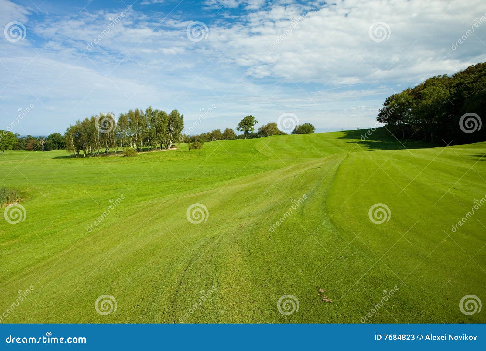 Beautiful golf lawn stock image. Image of putt, player - 7684823