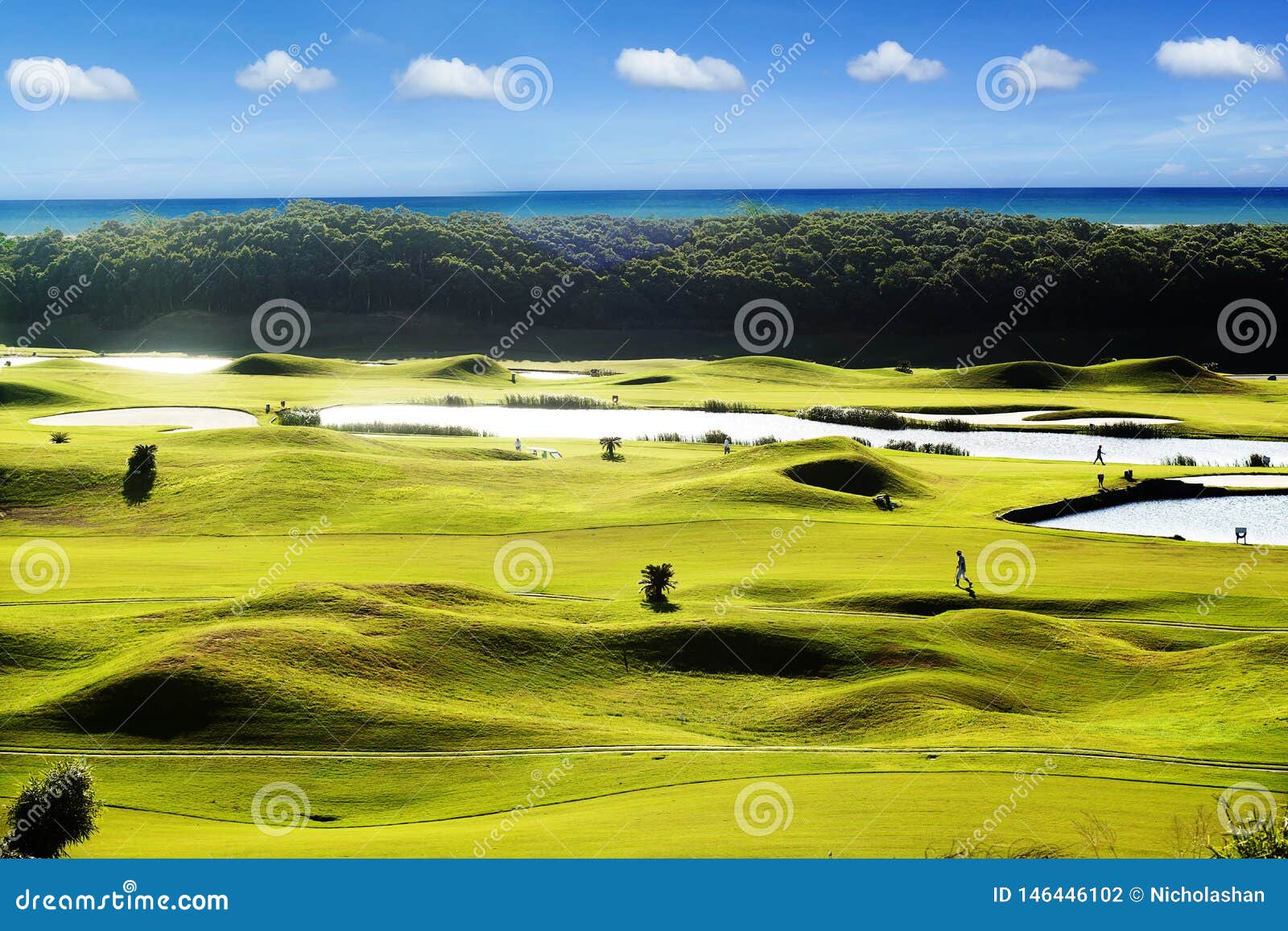 Beautiful Golf Place on Green in Beautiful Golf Course with Sunset ...