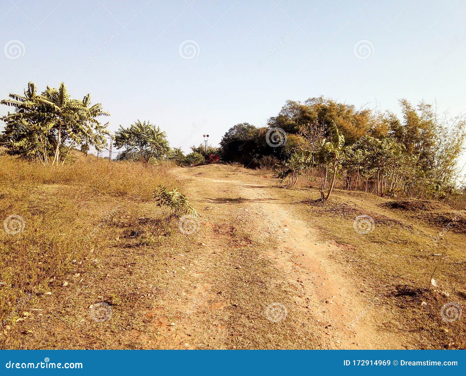 Beautiful Good Achcha Forest Field Photo Stock Image - Image of forest ...