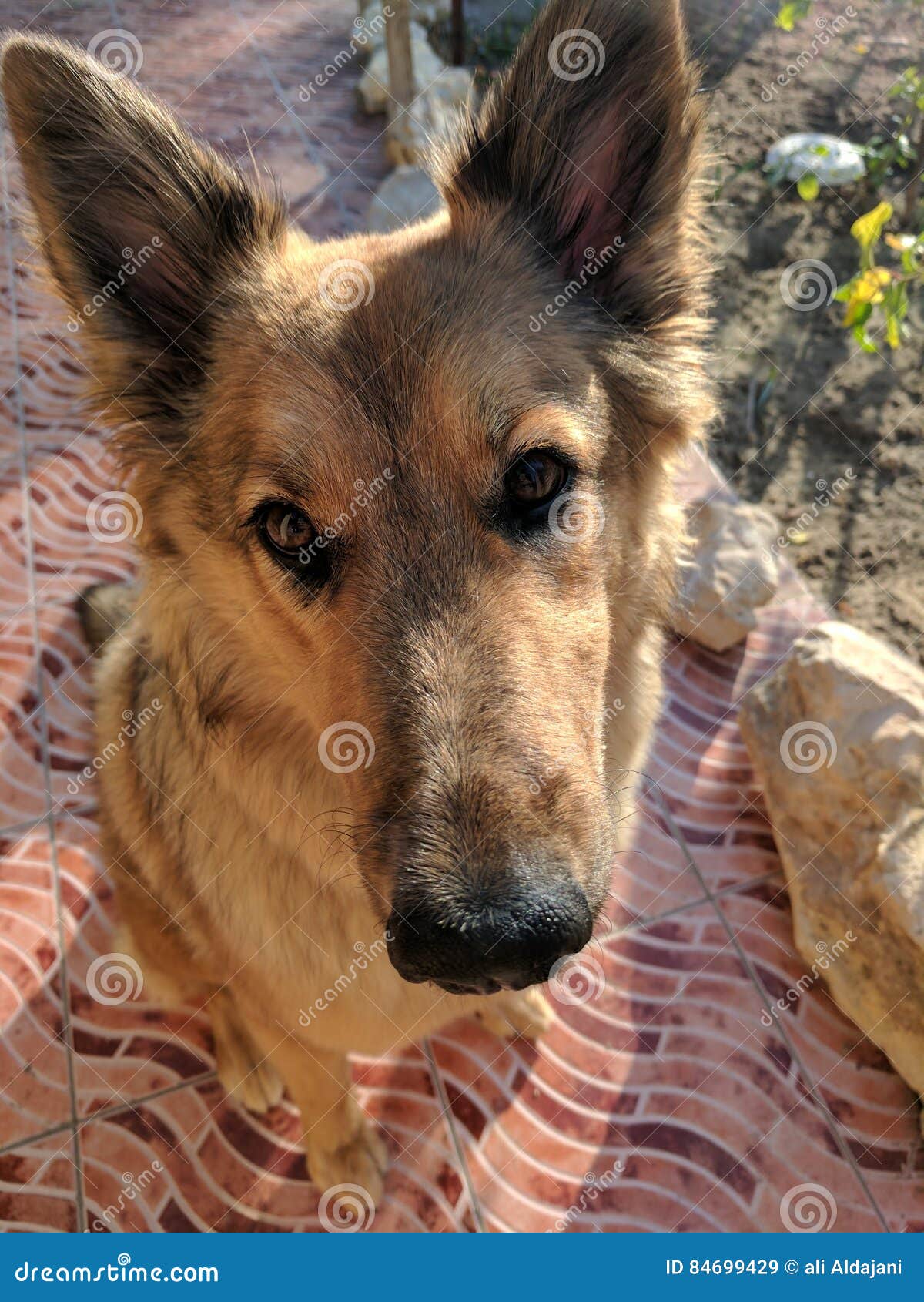 Beautiful goodbye stock image. Image of goodbye, beautiful - 84699429