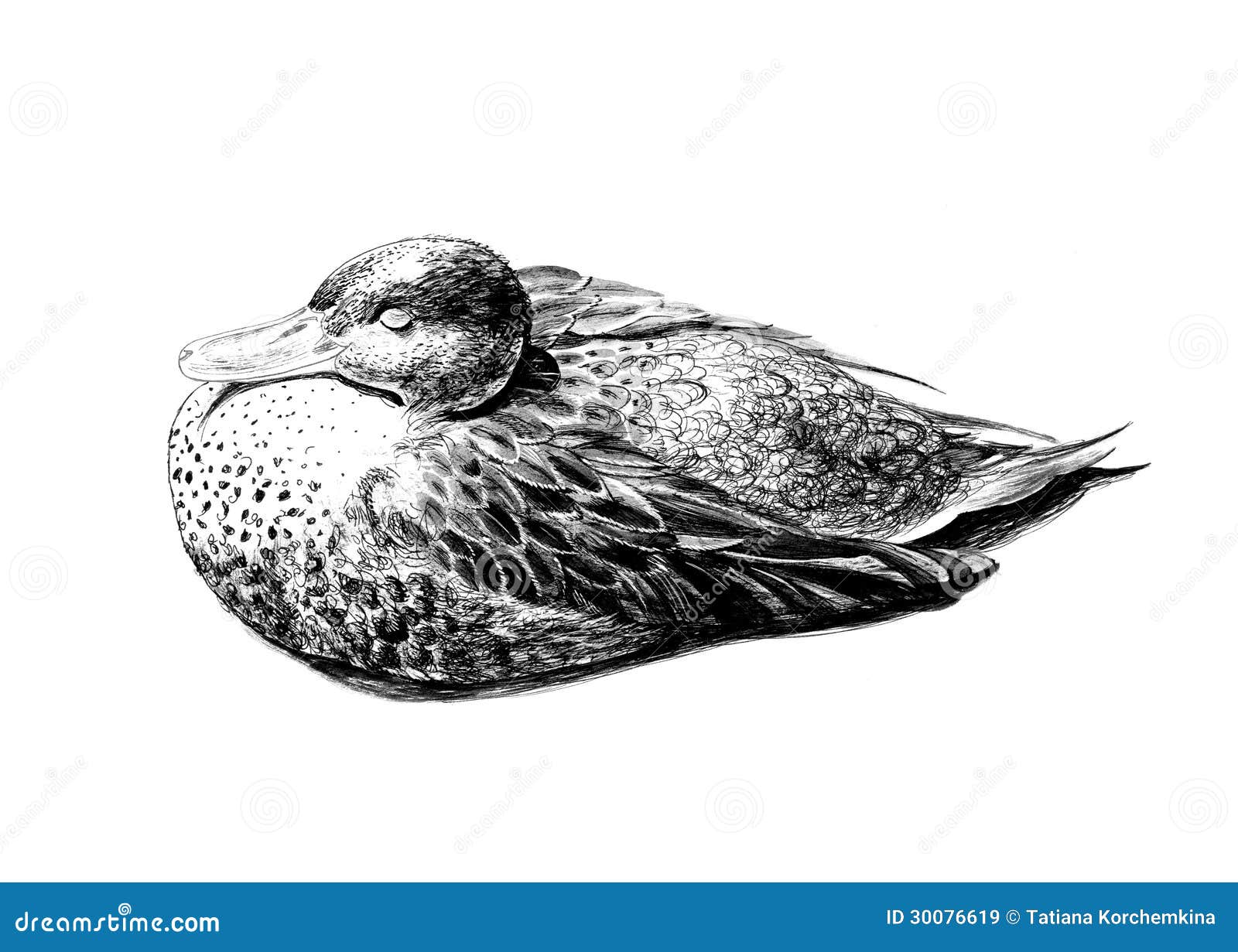 Duck Graphics Stock Illustrations – 1,087 Duck Graphics Stock ...