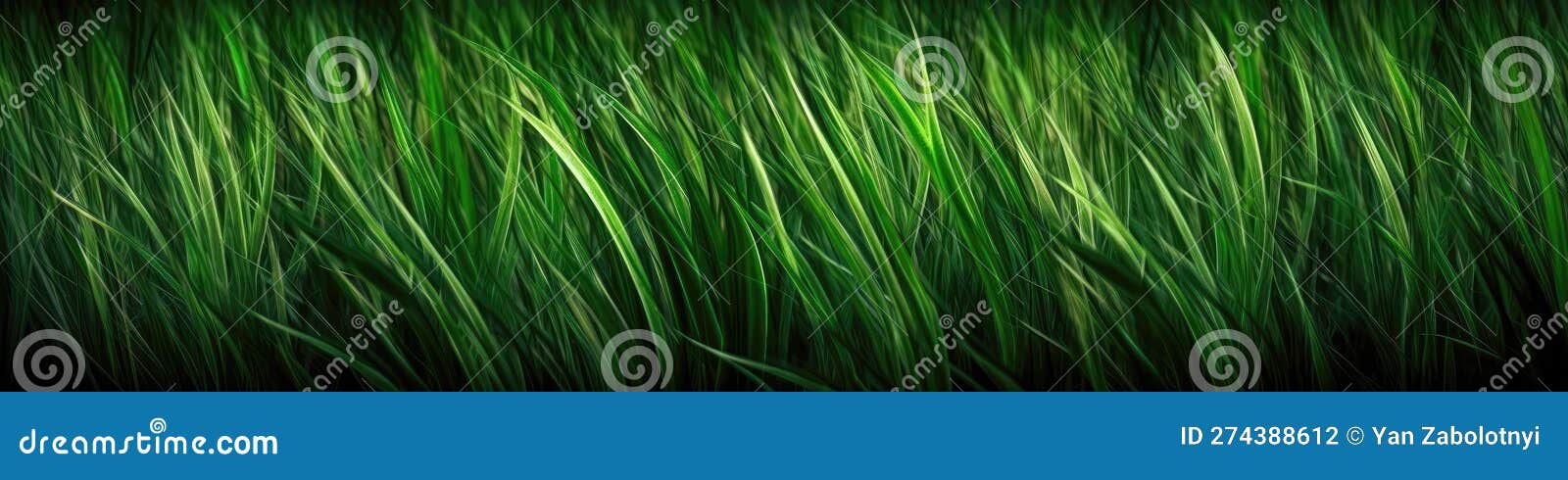 Beautiful Grass Blades Texture Background Pattern. Generative AI Stock ...