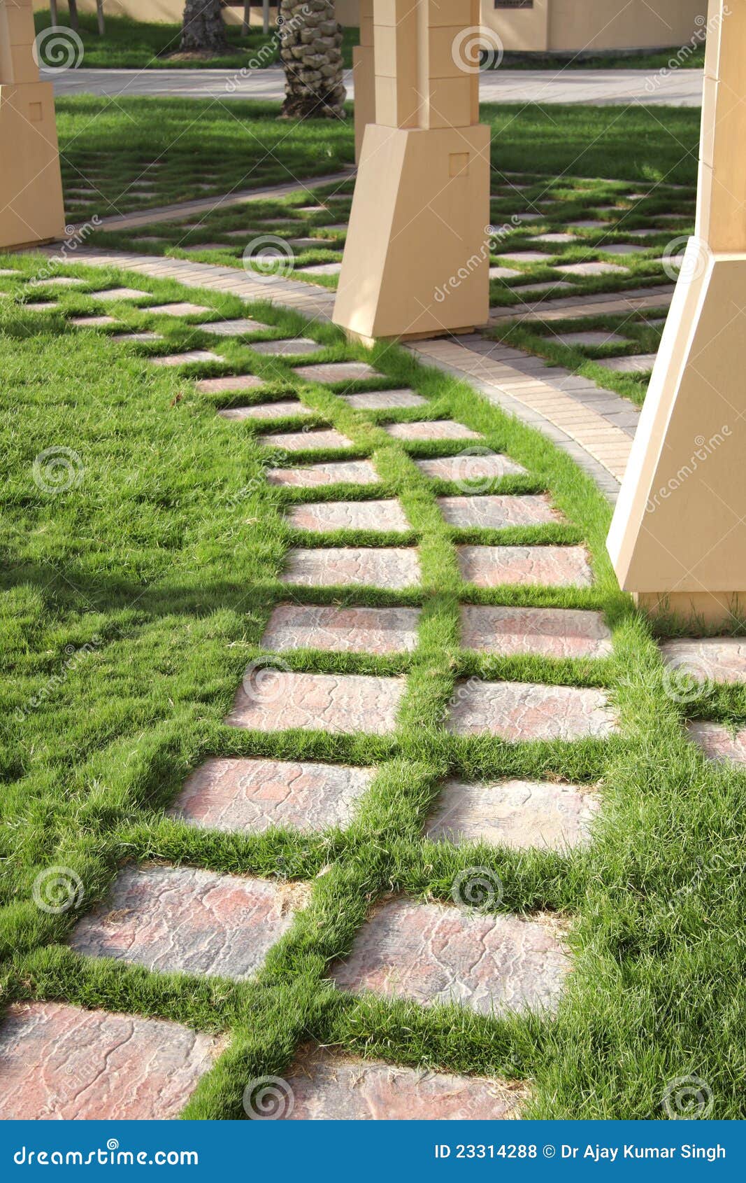 Beautiful Grass Decorated Path in a Garden Stock Photo - Image of ...