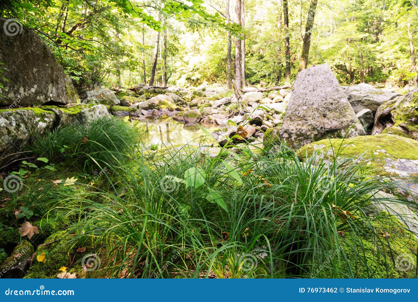 Grass Rocks River Stock Images - Download 23,696 Royalty Free Photos