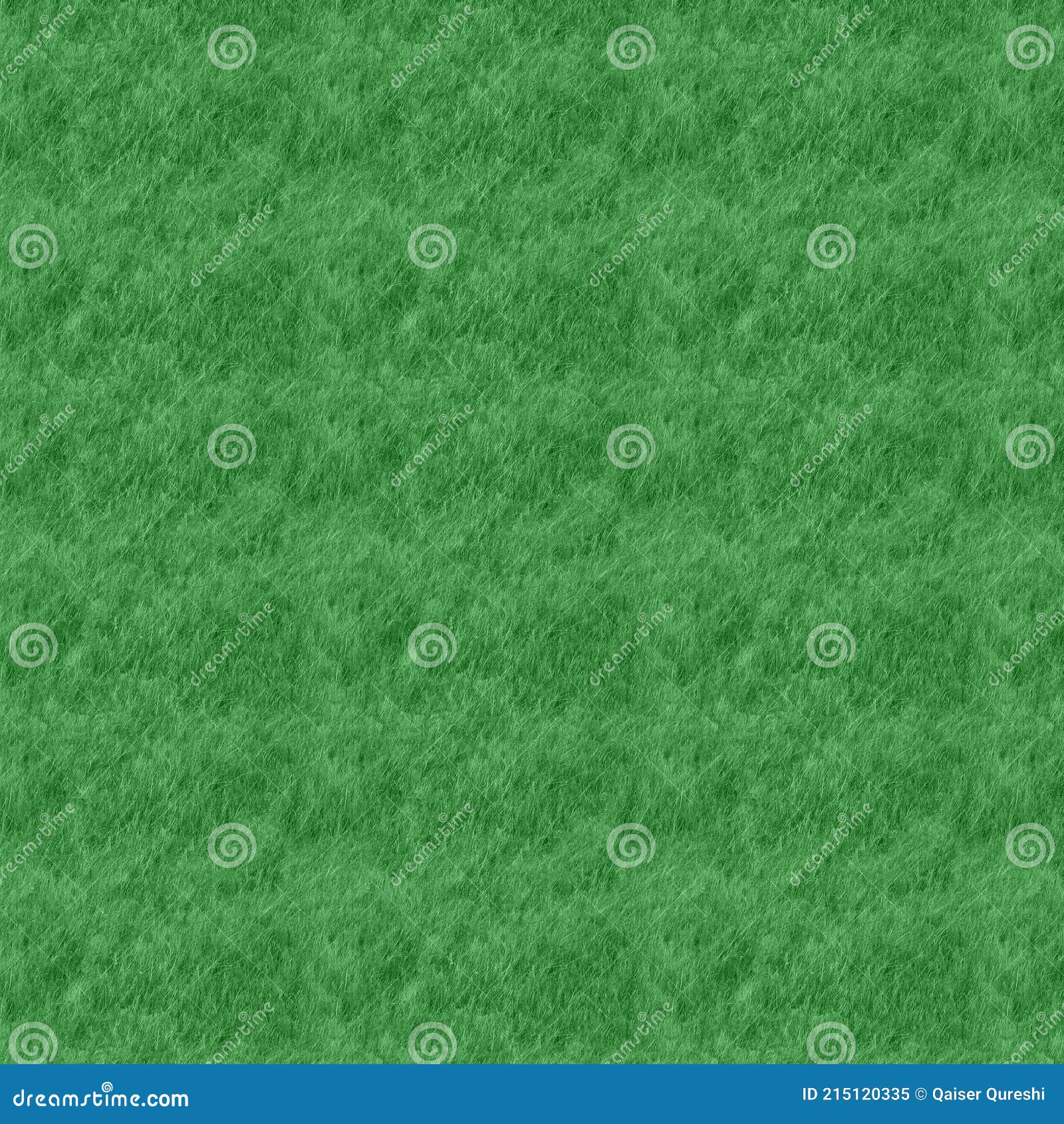 Beautiful Grass Texture in High Resolution Stock Image - Image of plant ...