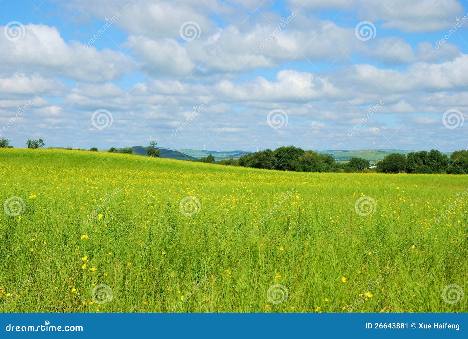Beautiful grassland stock image. Image of blue, cloud - 26643881