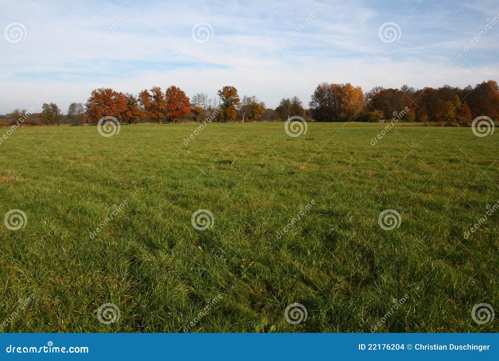 Beautiful Grassland in Fall Stock Photo - Image of plant, autumn: 22176204